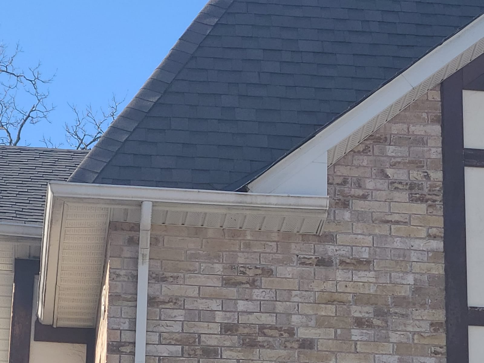 How Do Animals Get Into My House? - Critter Control Canada